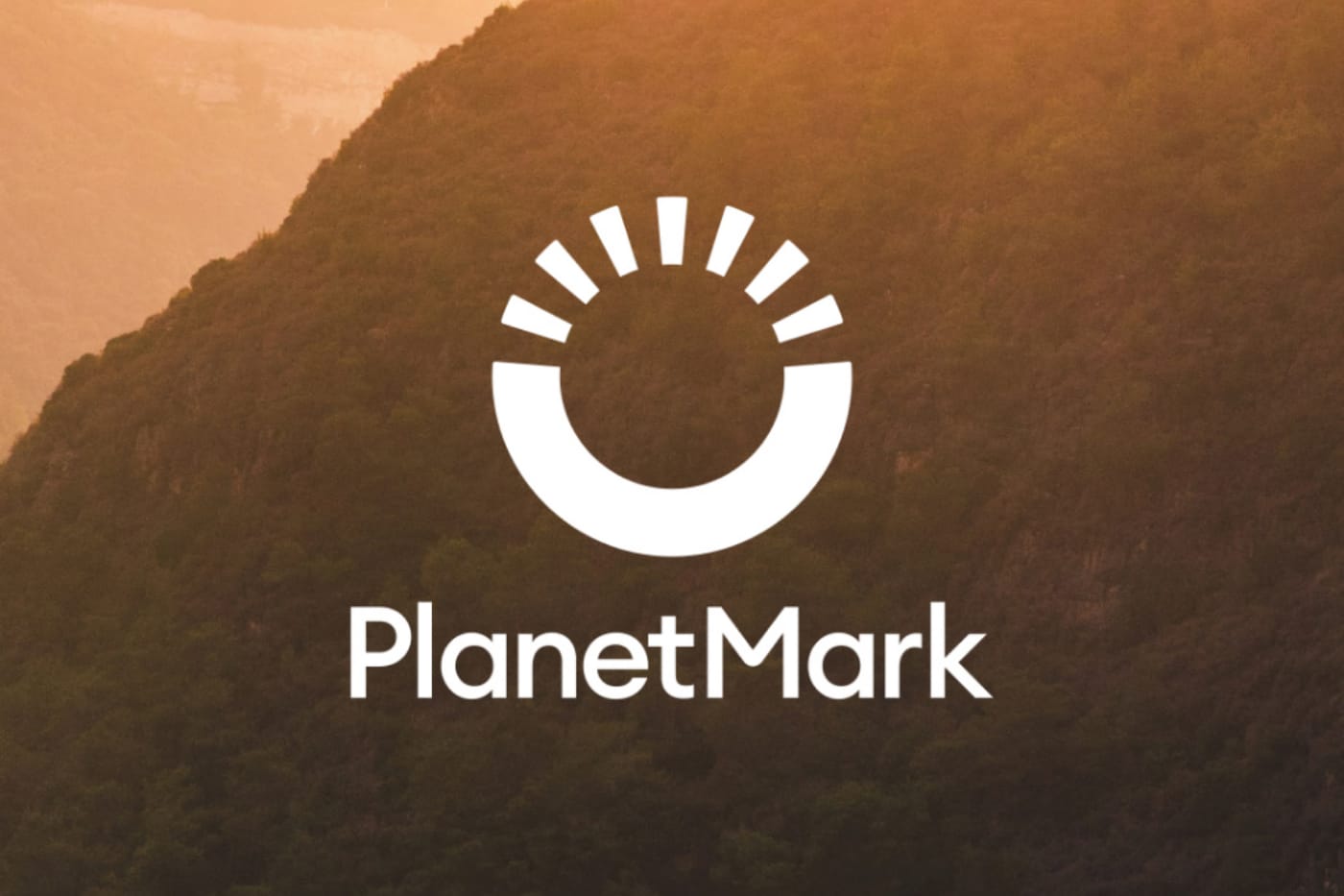 Growing Our Commitments with Planet Mark | Imagination